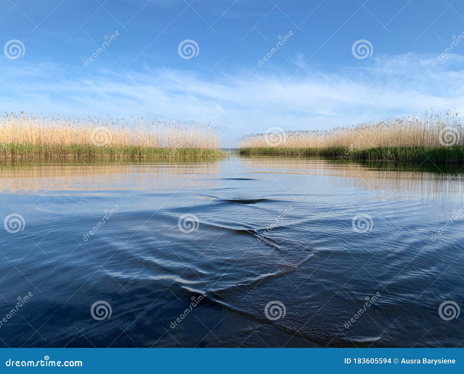 Moving Lake Water, Underwater Currents Stock Photo - Image of grass ...