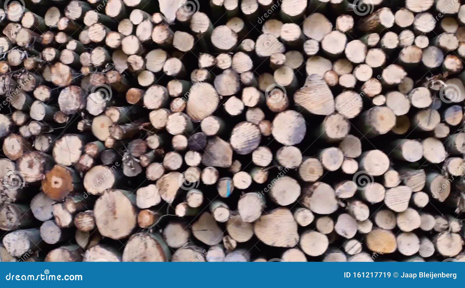 Moving Motion of a Pile of Cut Down Tree Trunks, Deforestation and ...
