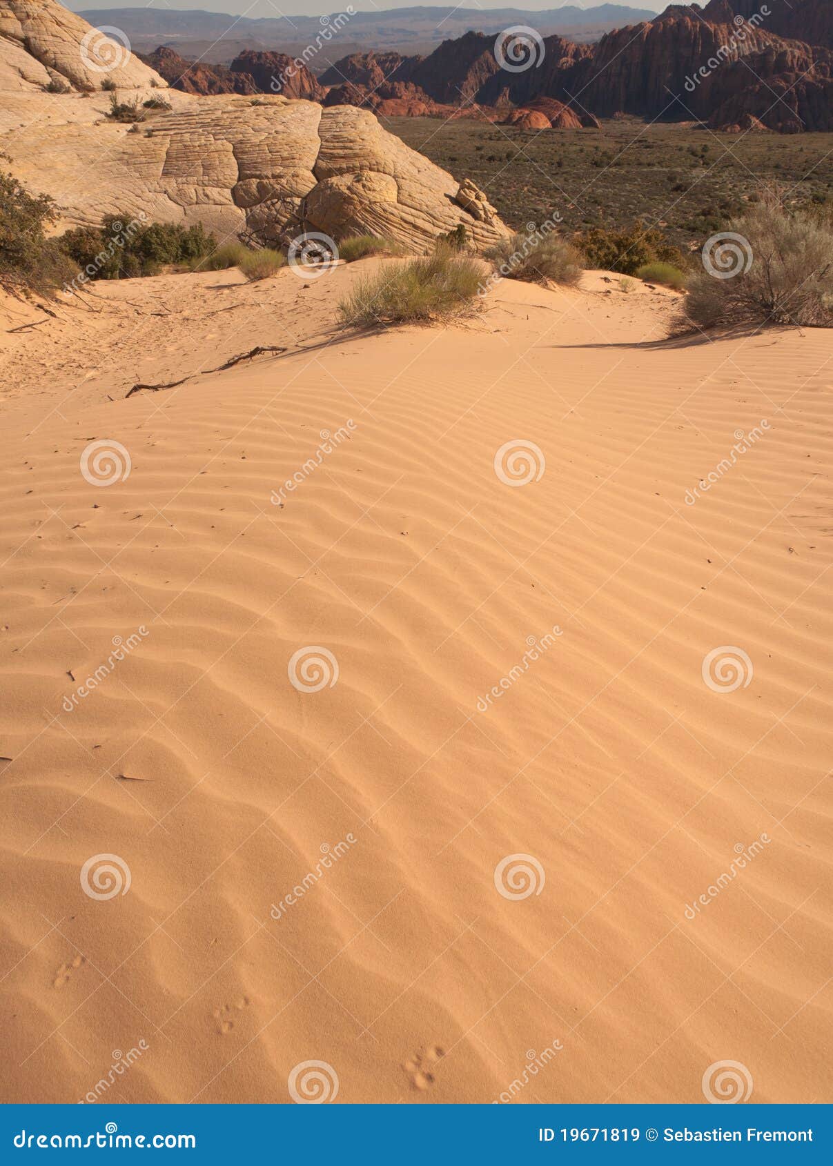 Moving Sand stock image. Image of nature, utah, dunes - 19671819