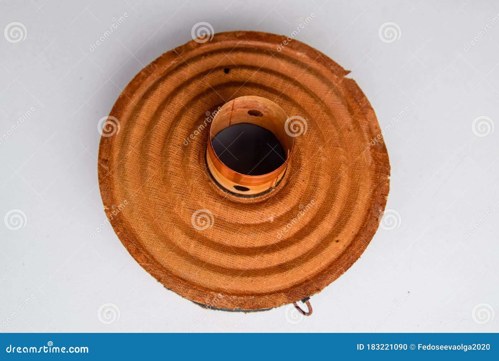 Moving System Of The Mid-range Speaker 20gds-3 Of Soviet Production ...