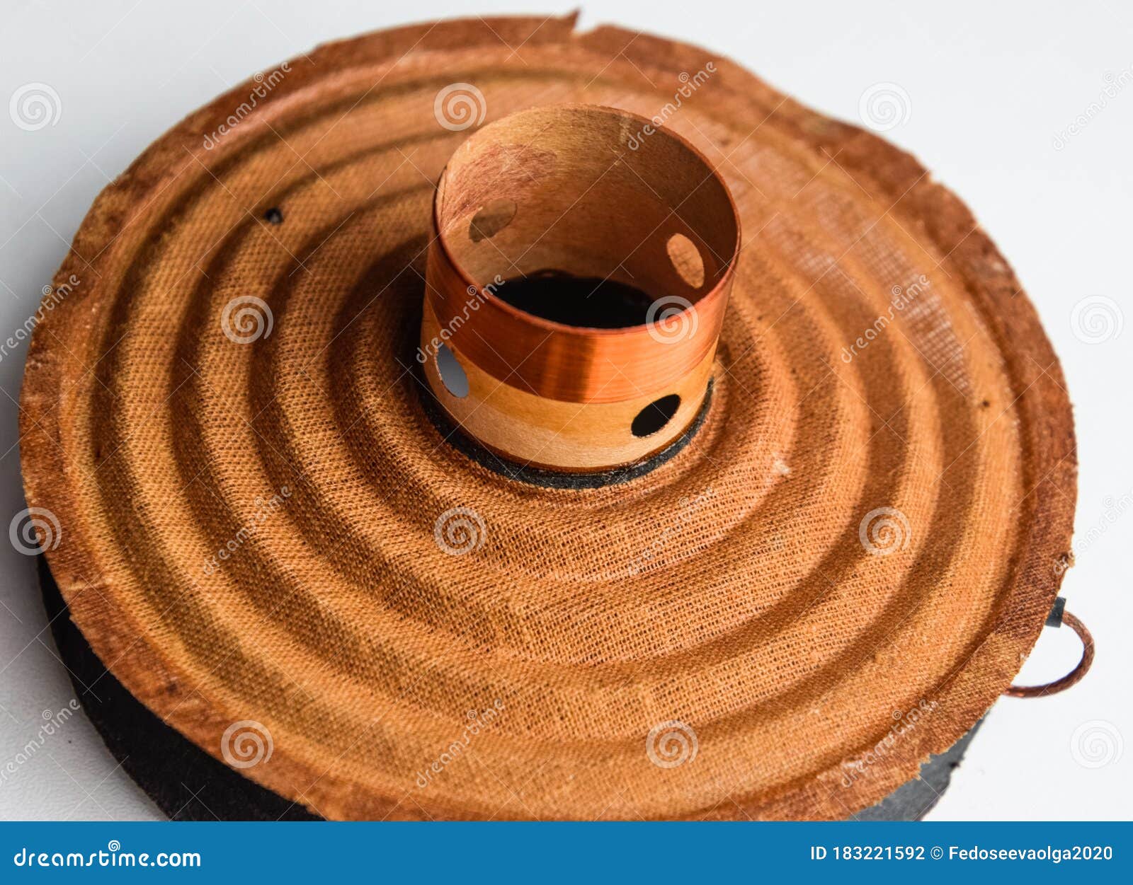 Moving System of the Mid-range Speaker 20gds-3 of Soviet Production ...