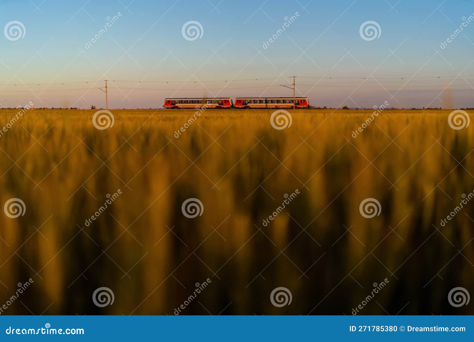 Moving Train in the Wheat Fields Landscape Stock Photo - Image of ...