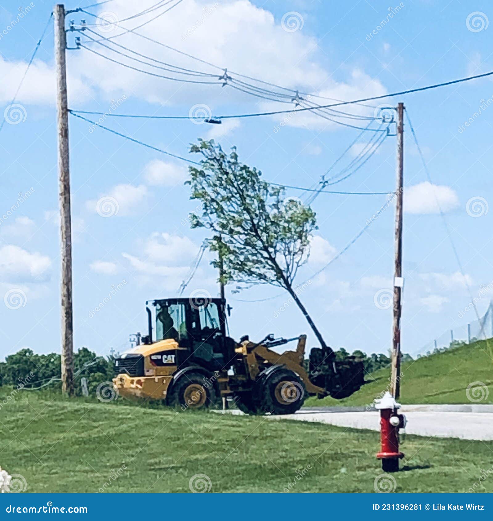 Moving Trees Via Back Hoe Construction Vehicle Editorial Photo - Image ...