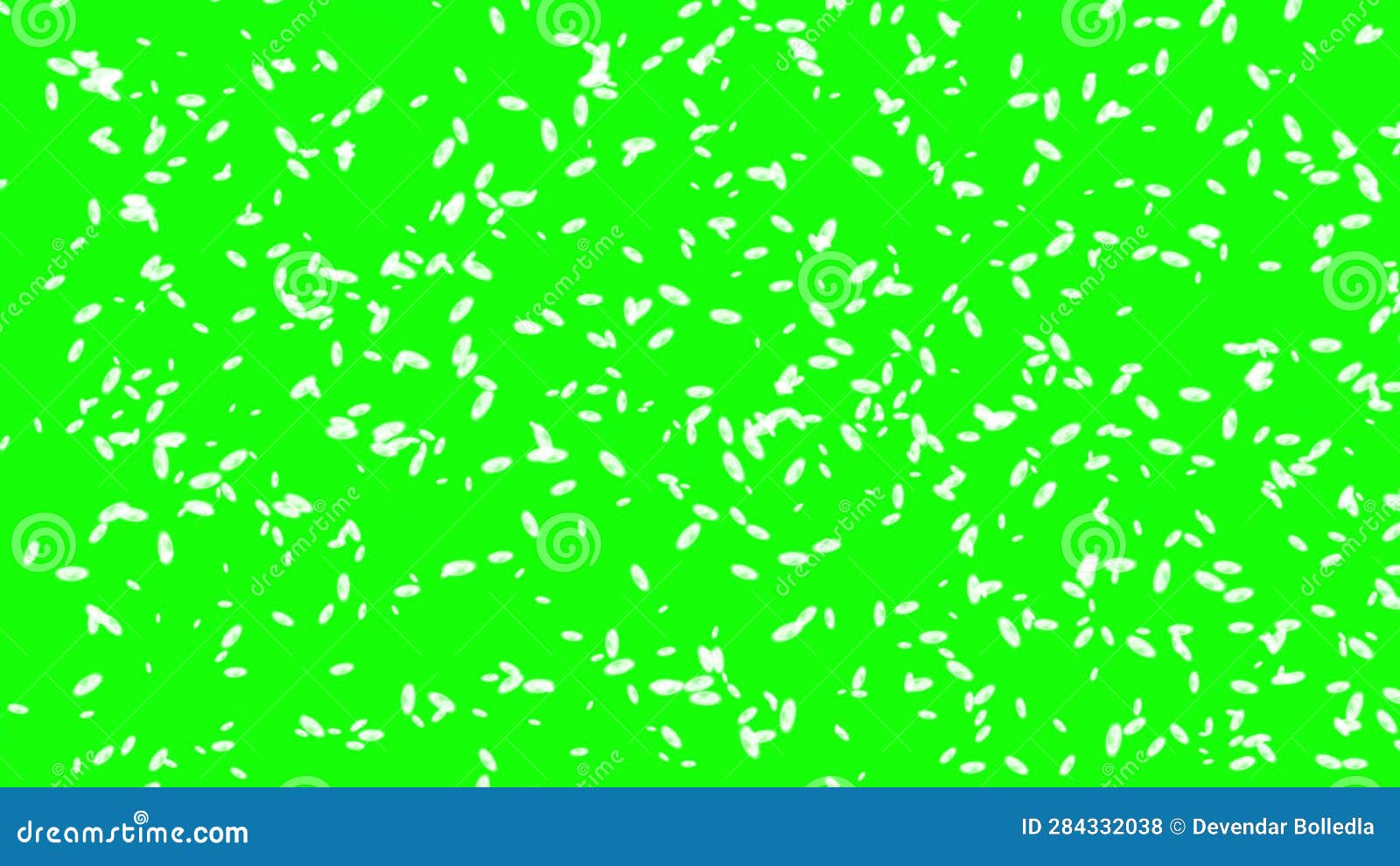 Moving White Insects on Green Screen Background Stock Footage - Video ...