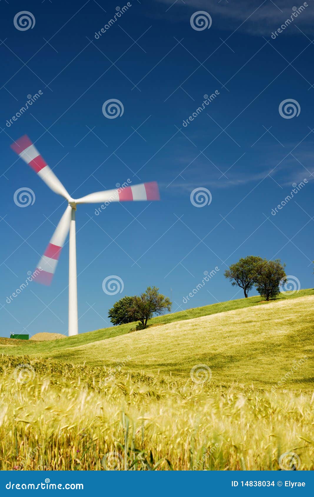 Moving Wind Turbine in Golden Meadow Stock Photo - Image of molise ...