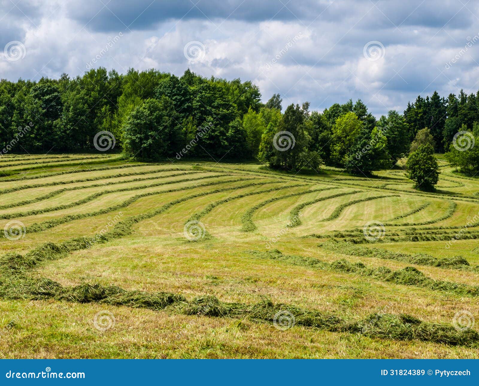 Mowed field stock image. Image of pasture, freshly, curves - 31824389