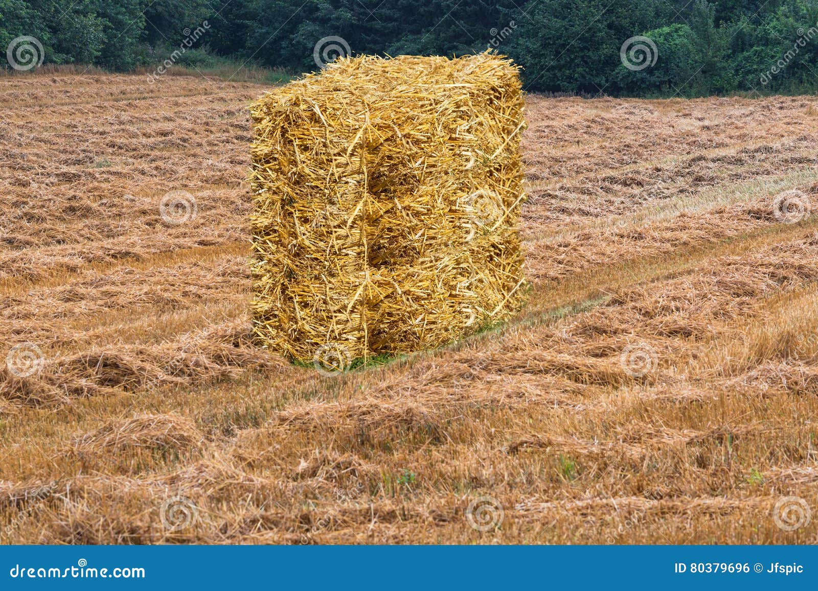 Mowed Grain Field with Hay Bales Stock Photo - Image of corn ...
