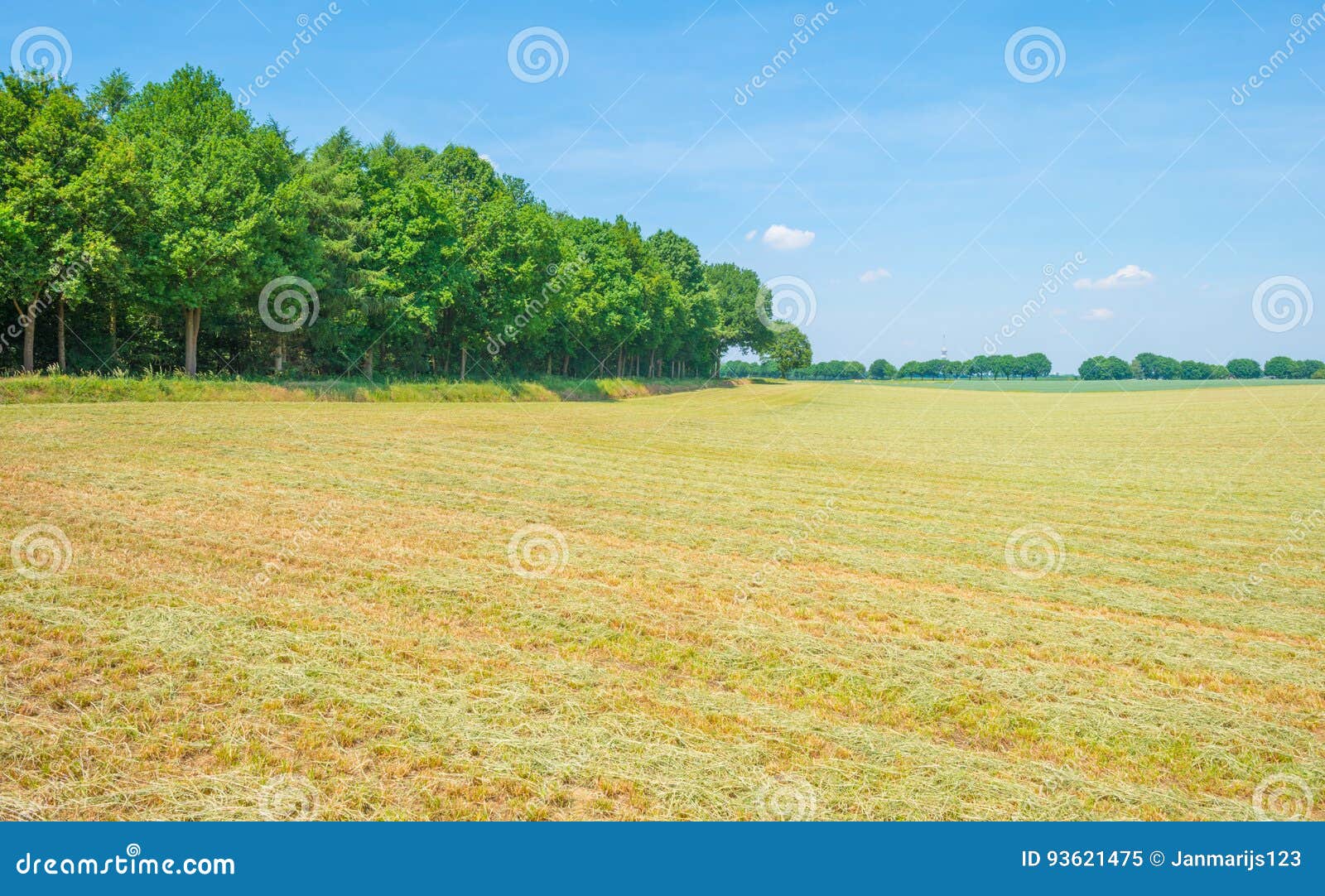 Mowed Grass on a Field in Sunlight Stock Image - Image of green, scenic ...