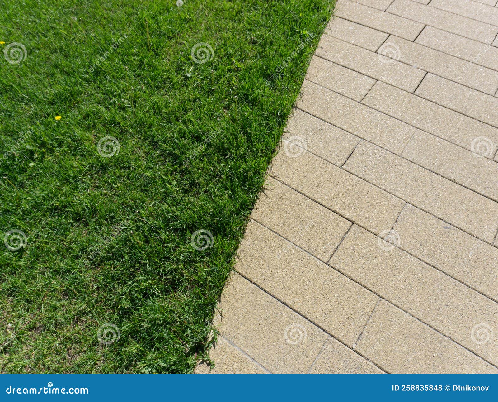 Mowed Grass and a Path. View from Above Stock Photo - Image of outdoor ...