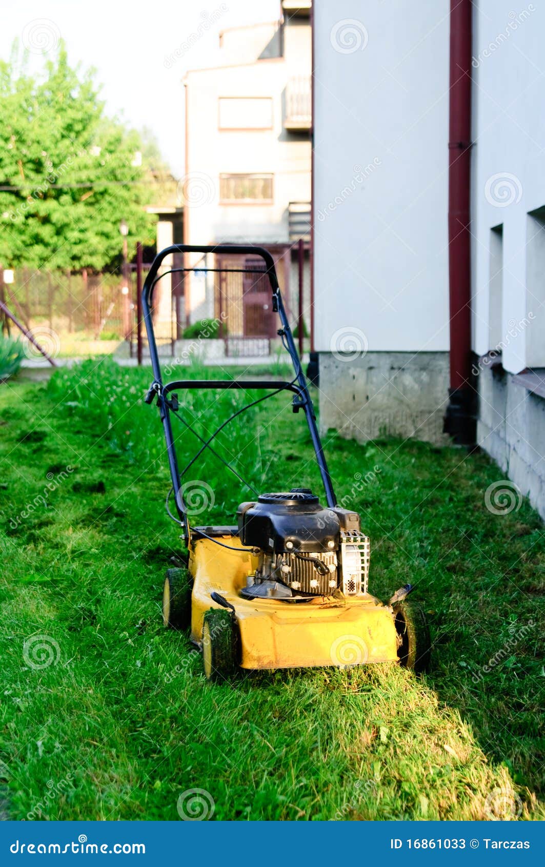 Mower on green lawn stock image. Image of engine, cutter - 16861033