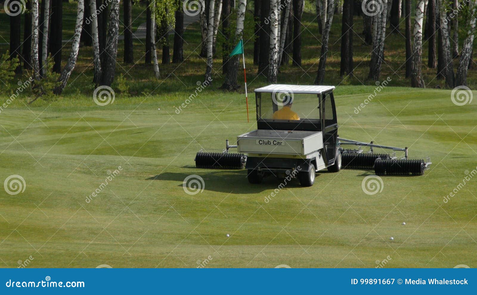 Mower Work in the Grass at the Edge of a Scottish Golf Course. Machine ...