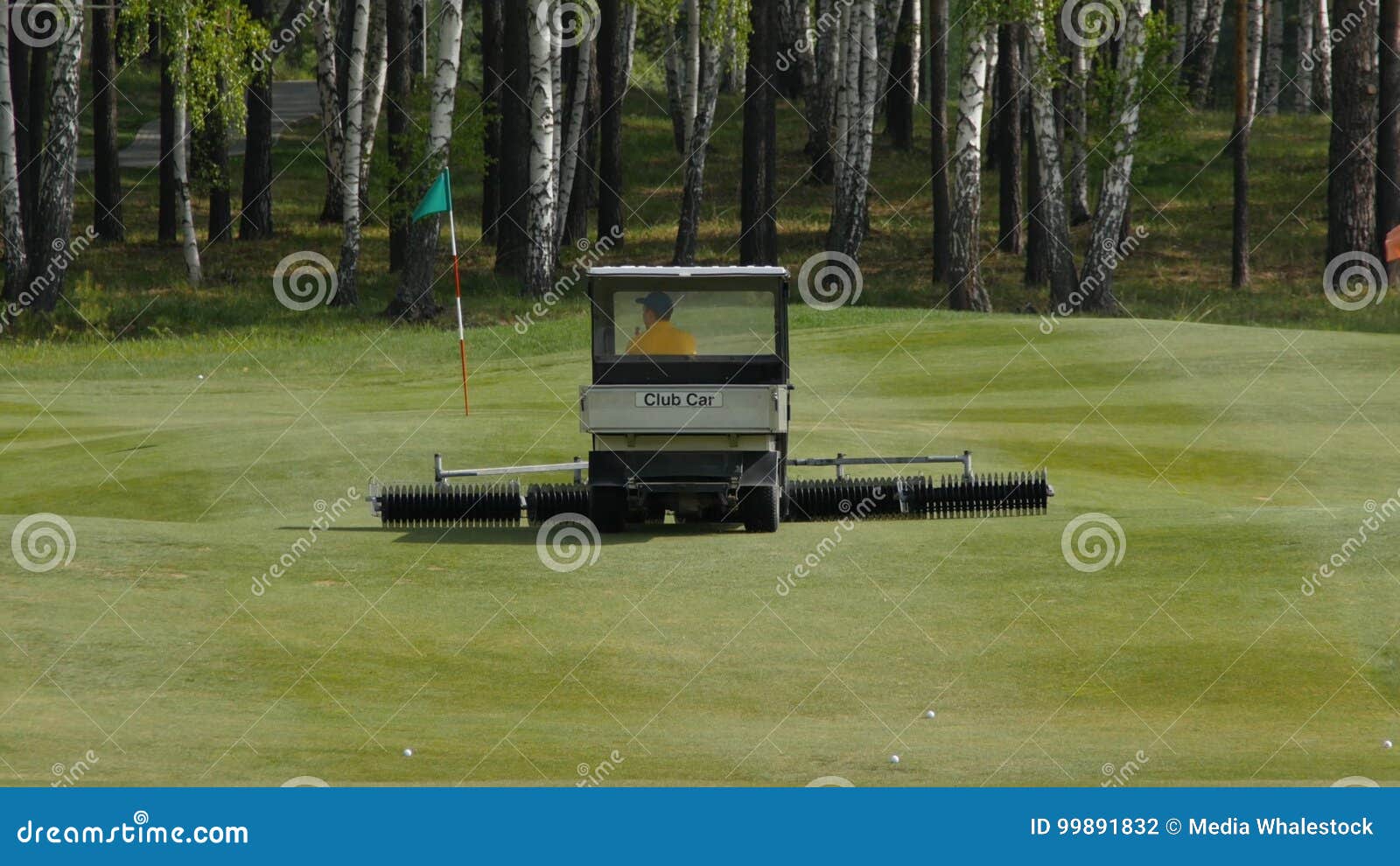 Mower Work in the Grass at the Edge of a Scottish Golf Course. Machine ...