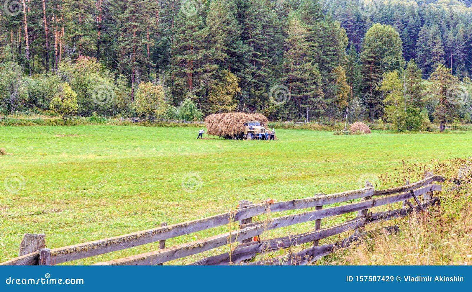 The Mowers Load the Hay into a Large Lorry Stock Image - Image of ...