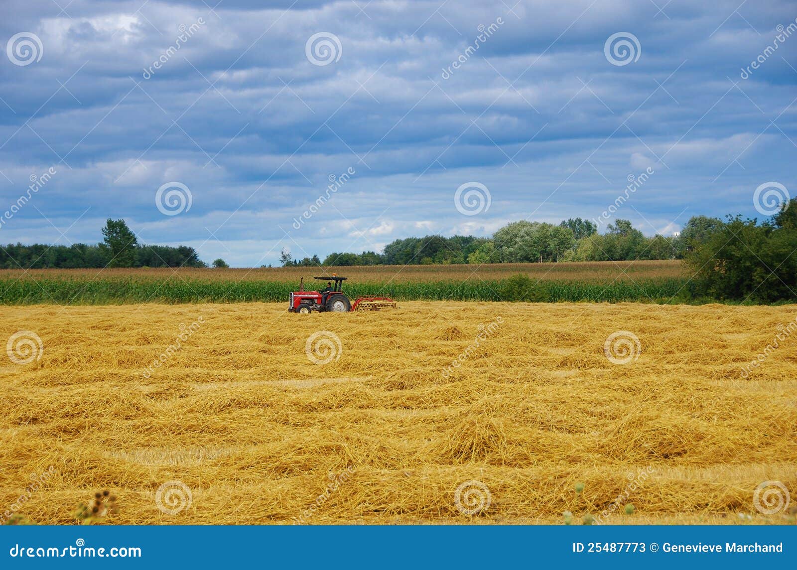 Mowing the Fields of Hay stock image. Image of equipment - 25487773