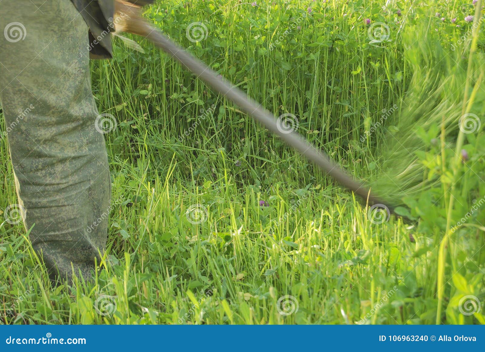 Mowing the Grass by Hand is a Scythe. Stock Photo - Image of plant ...