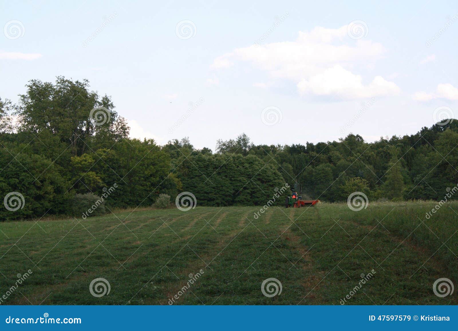 Mowing Hay stock image. Image of deere, mowed, field - 47597579