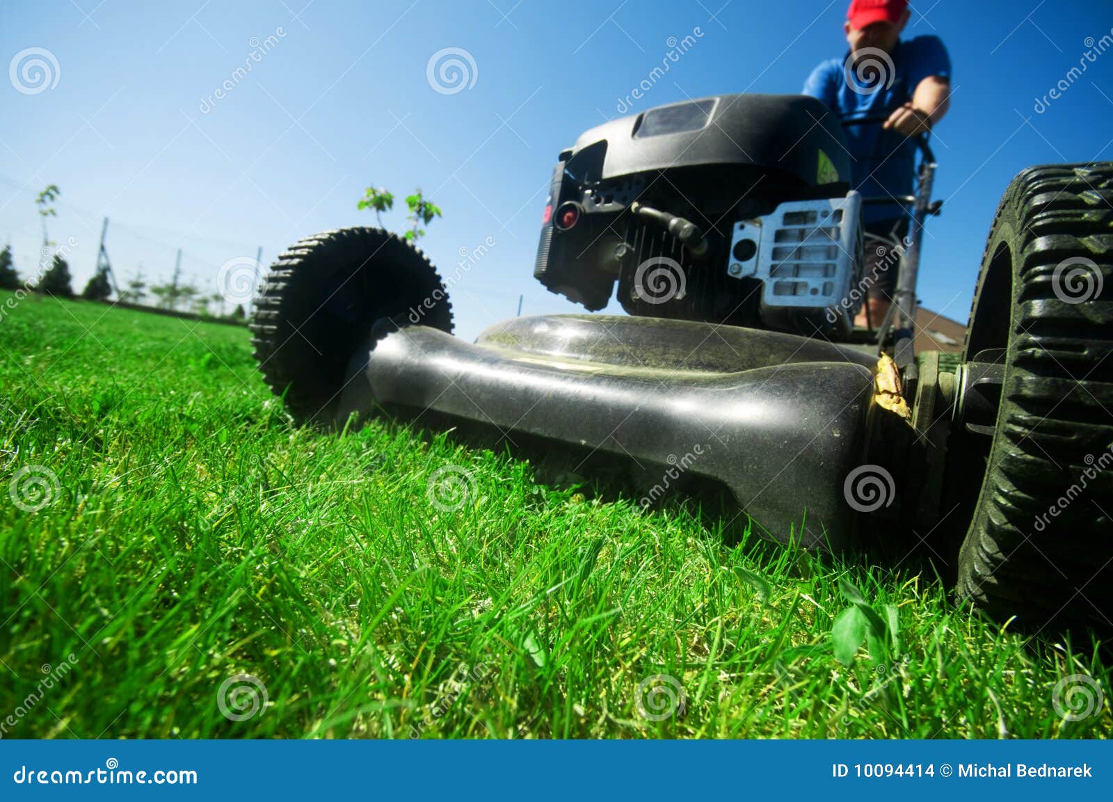 Mowing the lawn stock photo. Image of backyard, ground - 10094414