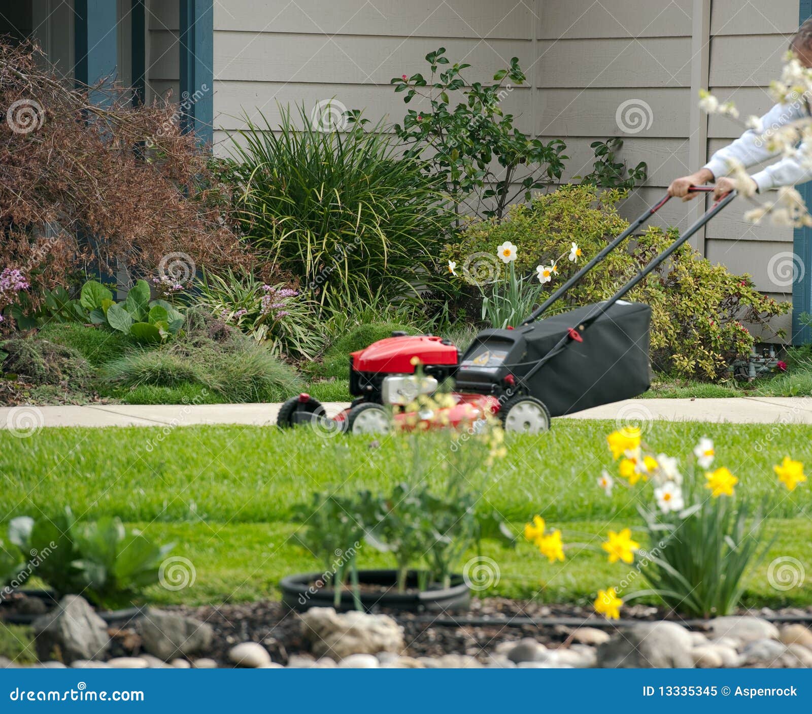 Mowing the lawn stock image. Image of garden, gardening - 13335345
