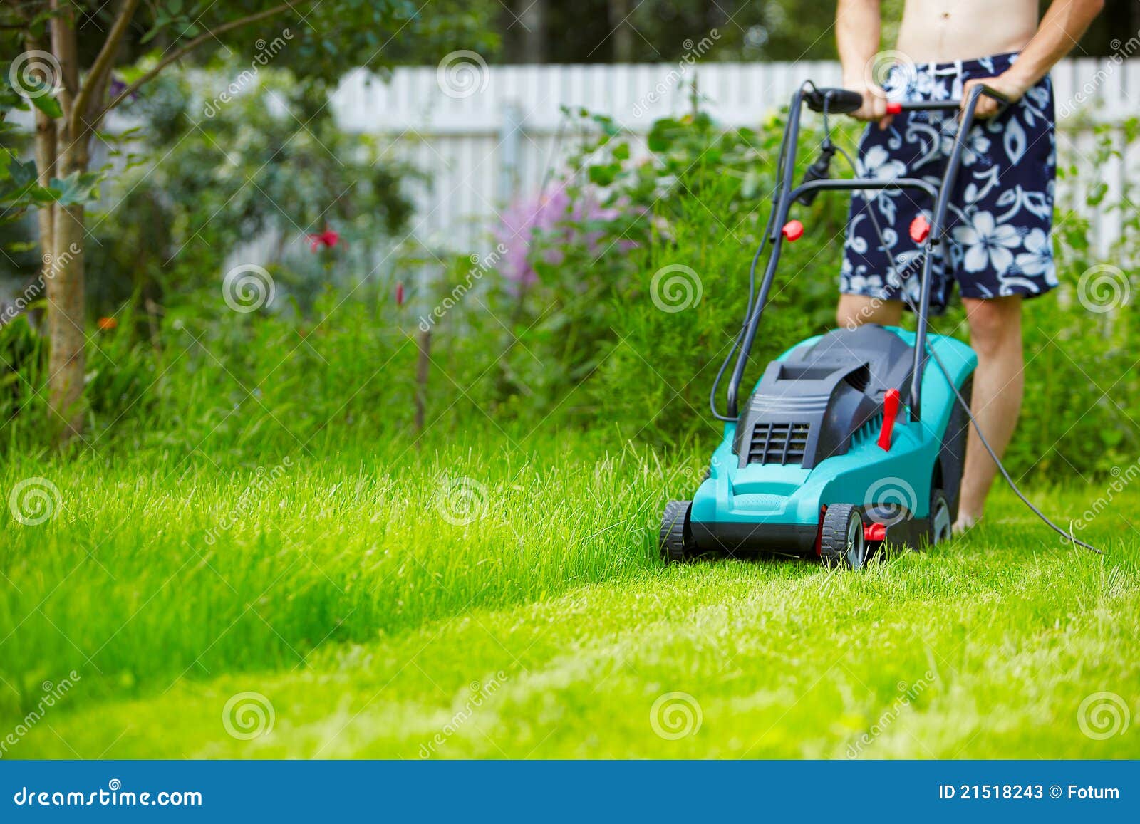 Mowing the lawn stock image. Image of nature, side, mowing - 21518243