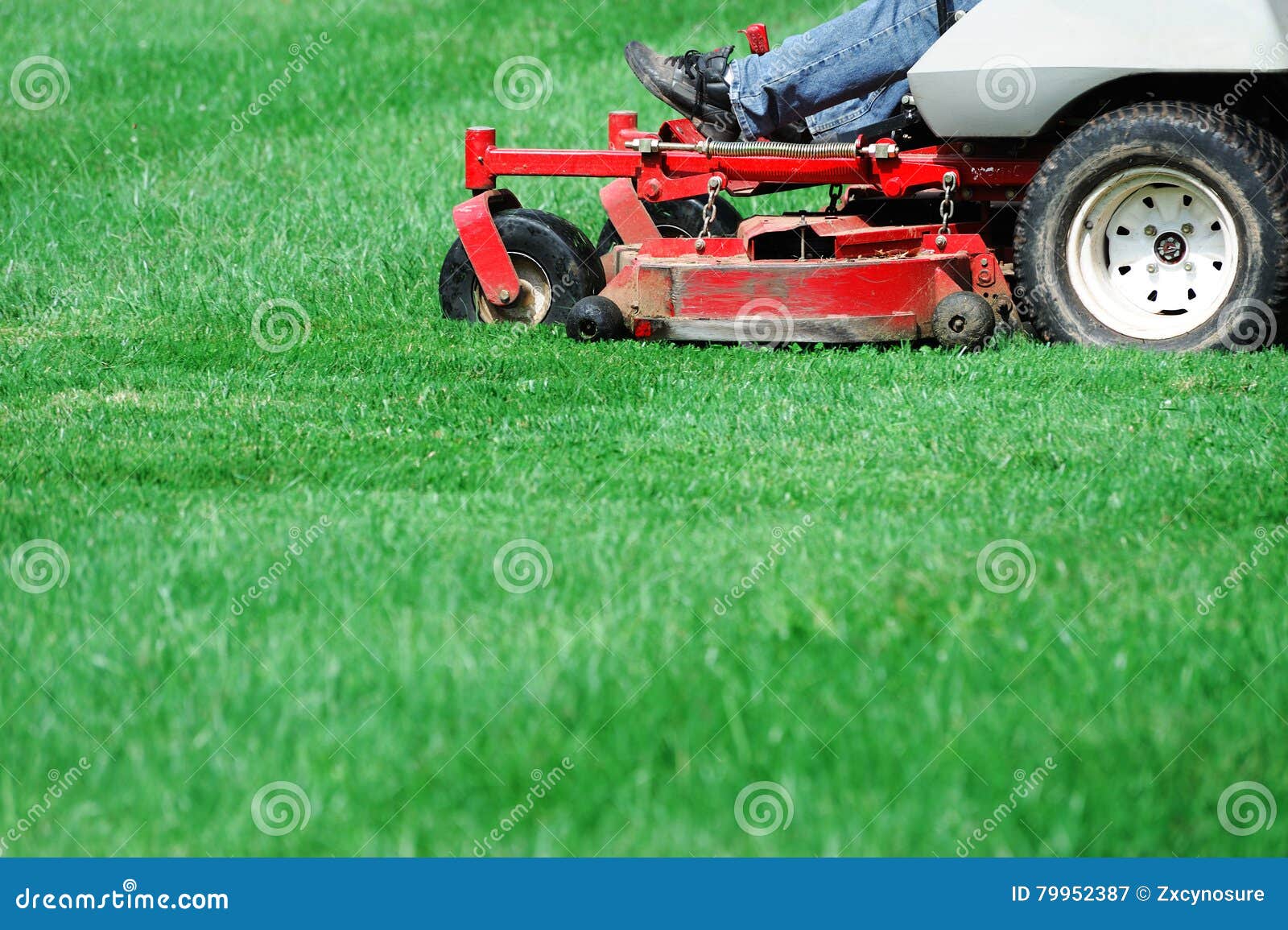 Mowing the lawn stock image. Image of estate, cutting - 79952387