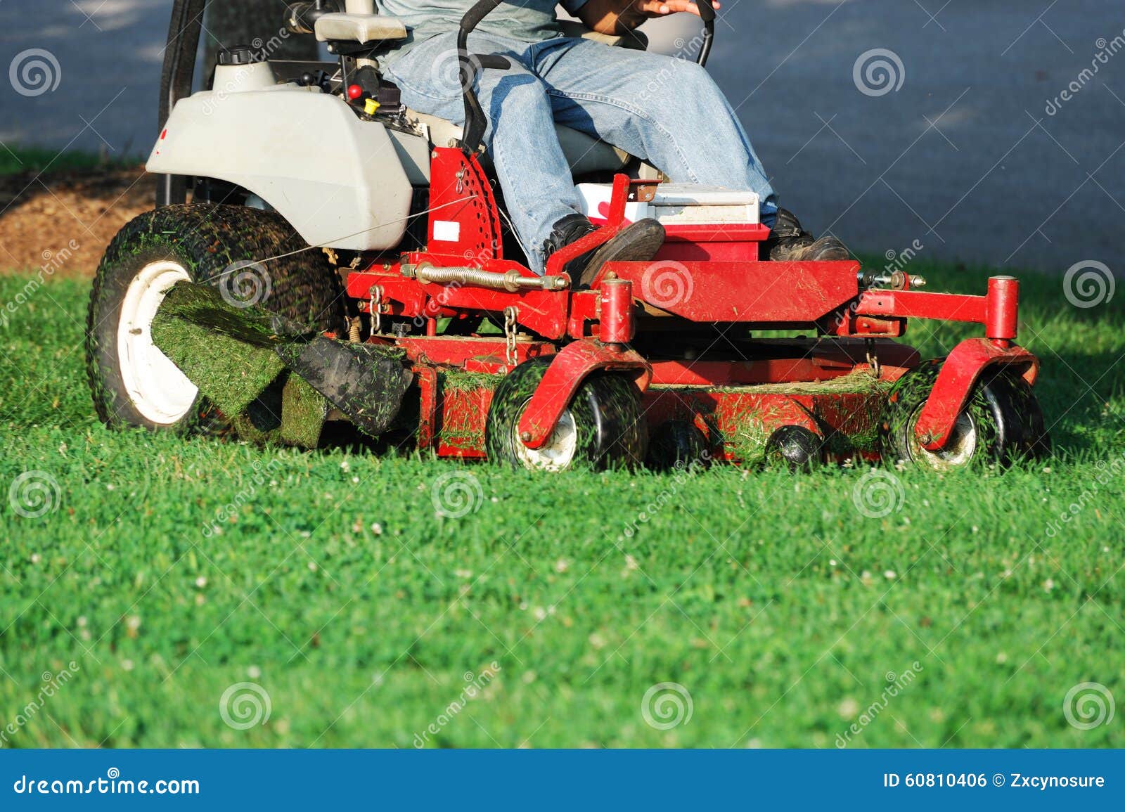 Mowing the lawn stock photo. Image of tool, gardener - 60810406
