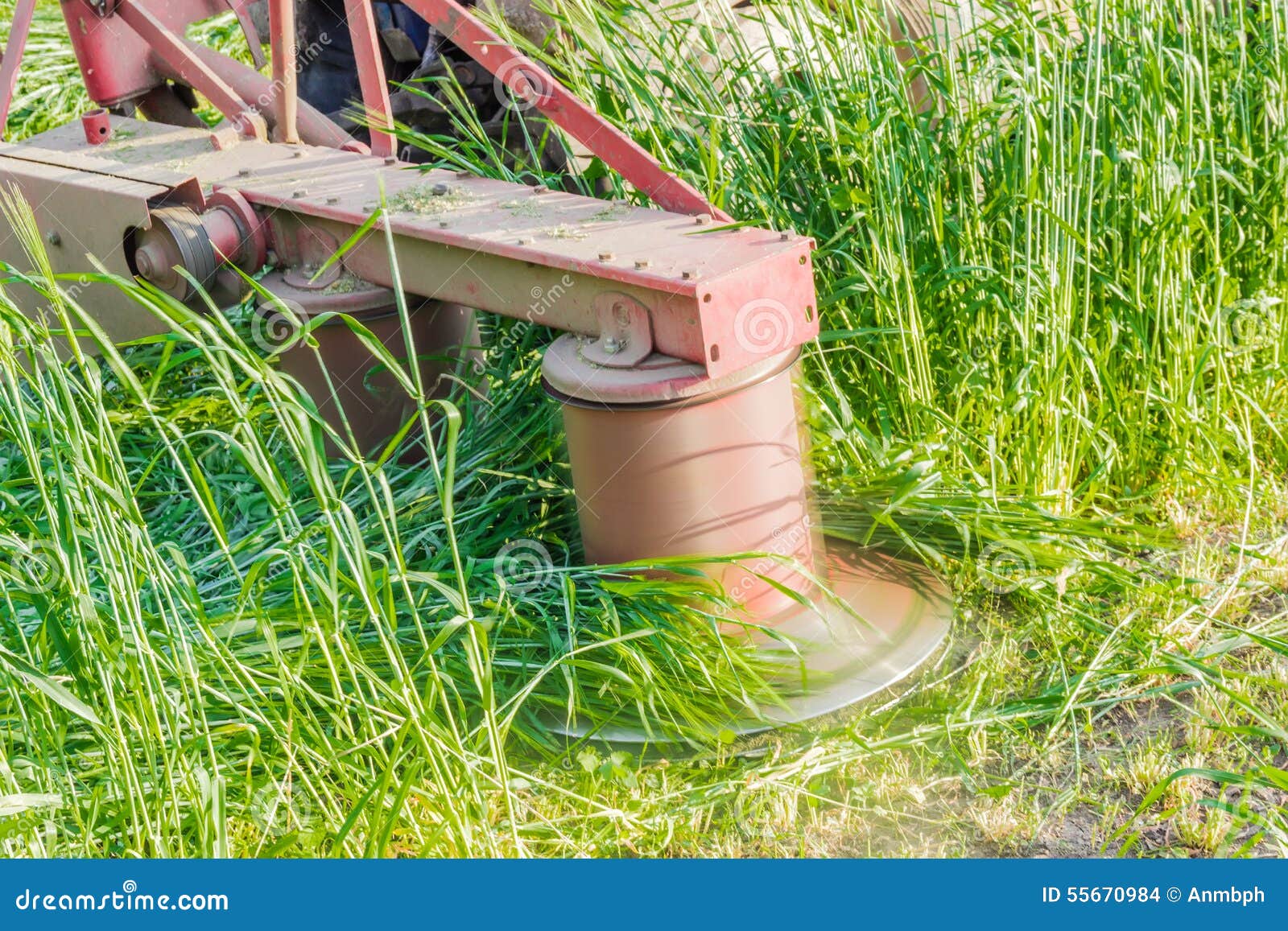 Mowing machine stock photo. Image of livestock, closeup - 55670984