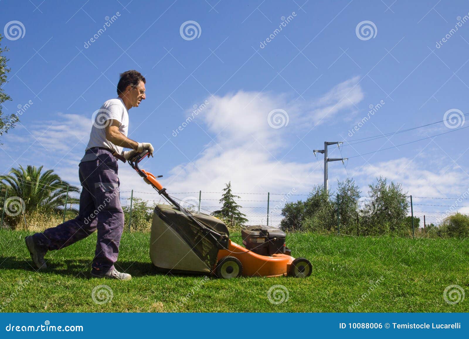 Mowing the meadows stock photo. Image of grass, garden - 10088006