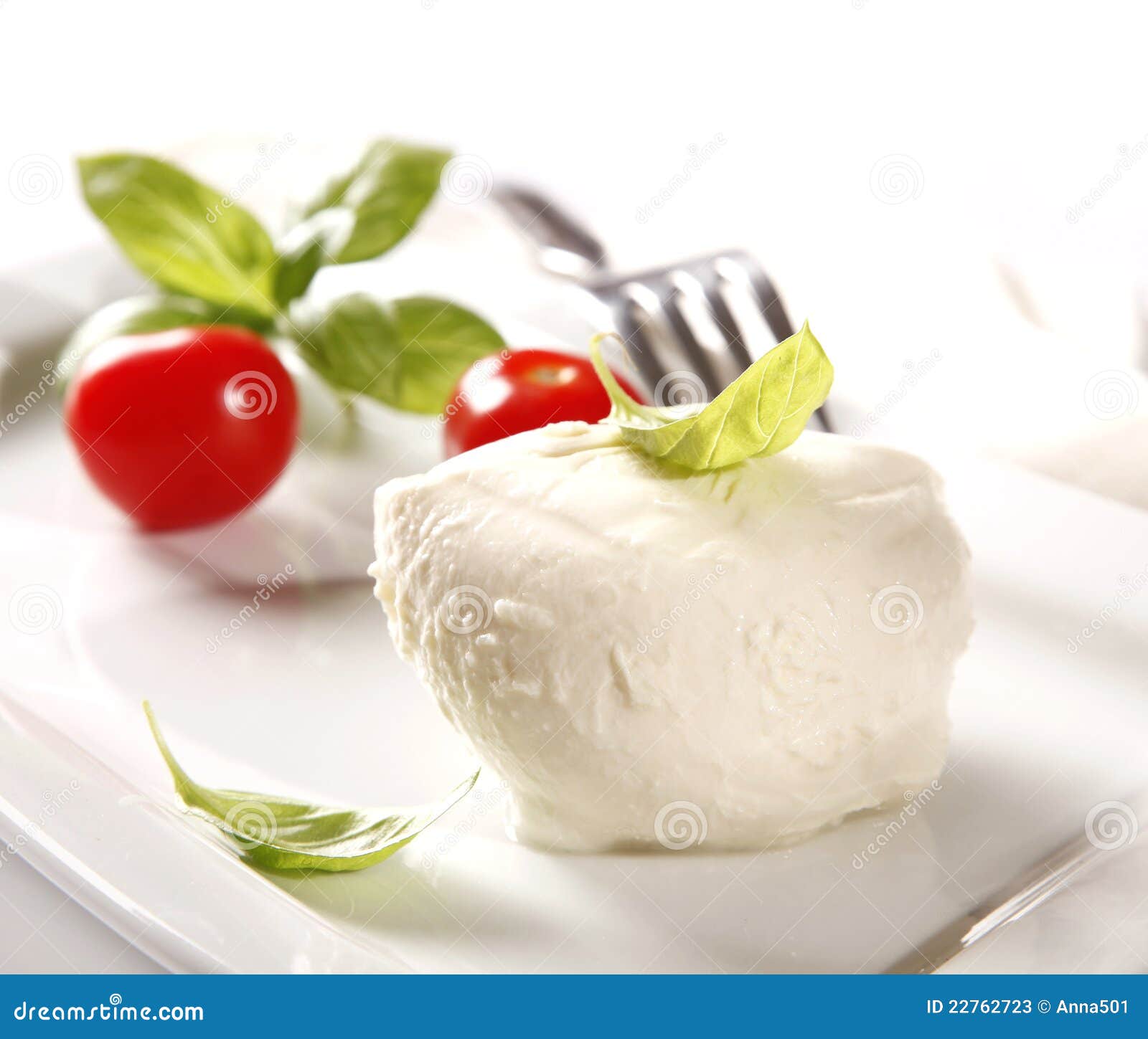 Mozzarella stock image. Image of cuisine, portion, basil - 22762723