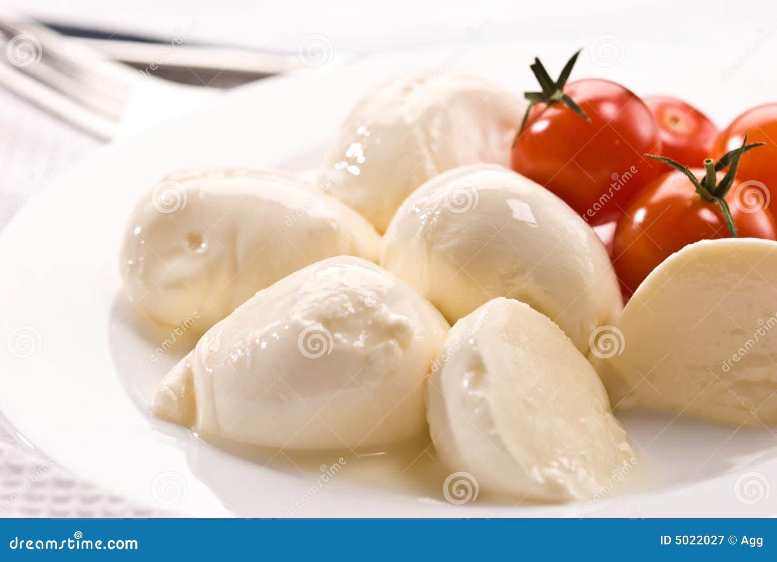 Mozzarella stock image. Image of cooking, mozzarella, soft - 5022027