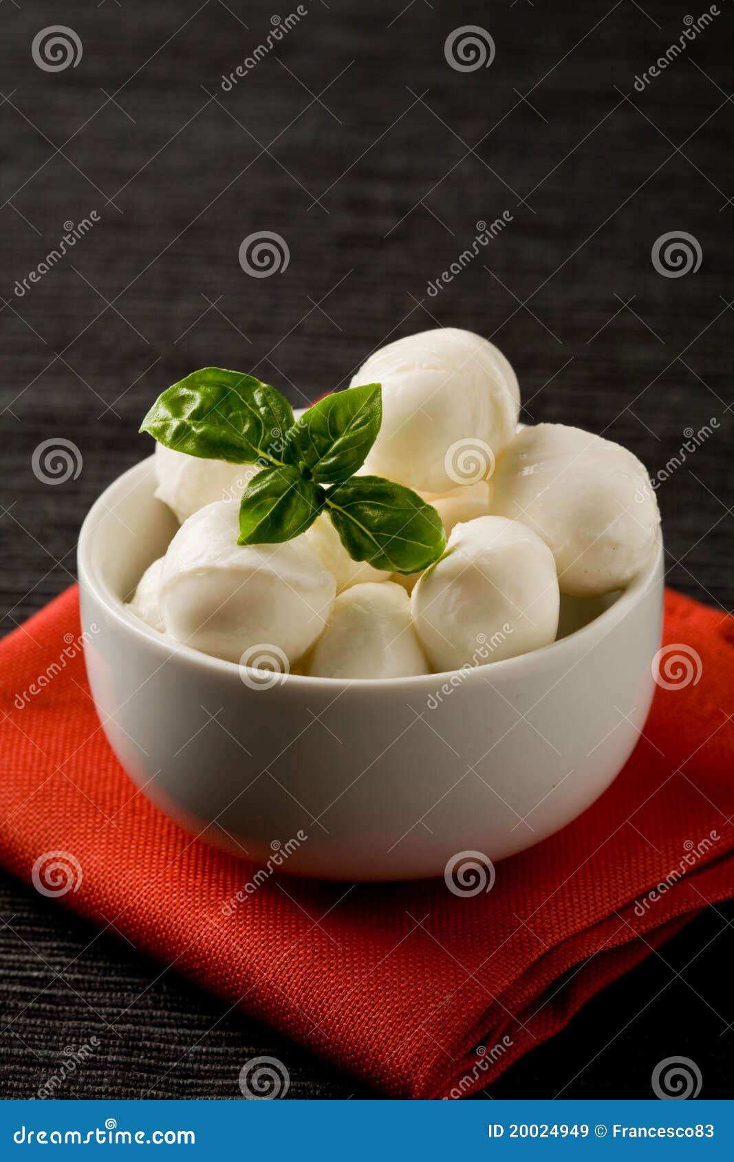 Mozzarella Appetizer Picture. Image: 20024949