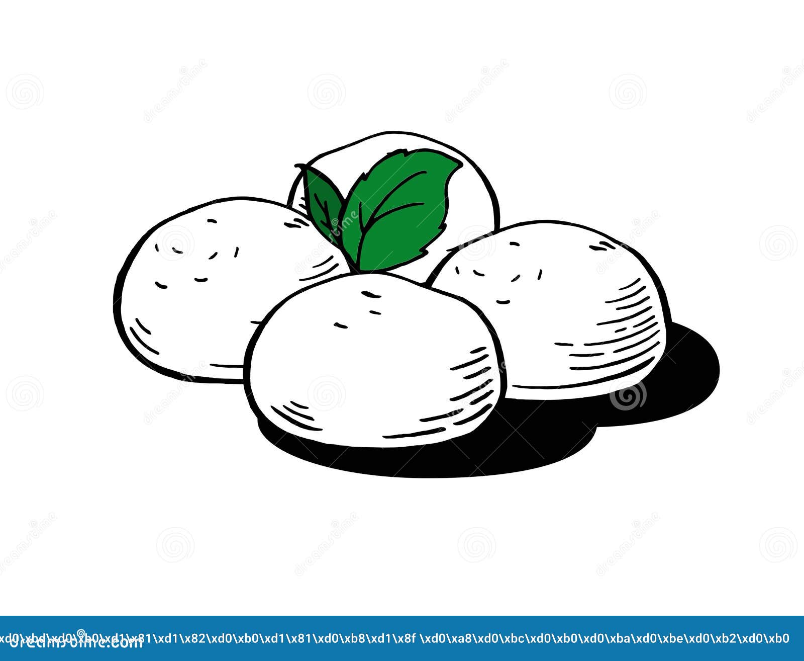 Mozzarella Cheese Balls for Restaurant Menus Packaging Vector ...