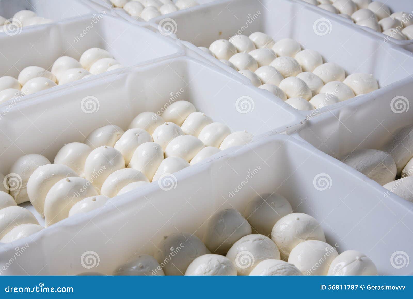 Mozzarella Cheese on a Production Stock Image - Image of background ...