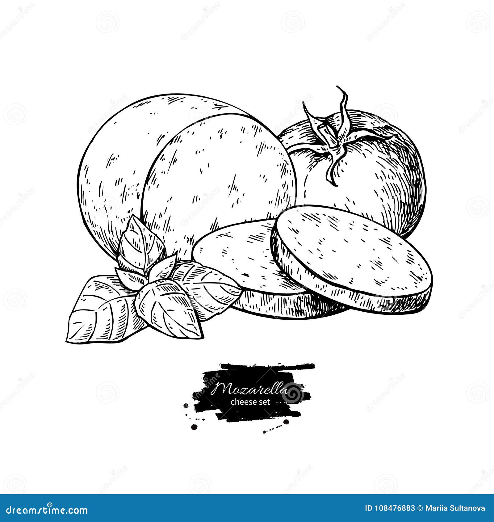 Mozzarella Cheese Vector Drawing. Hand Drawn Round Piece with Ba Stock ...