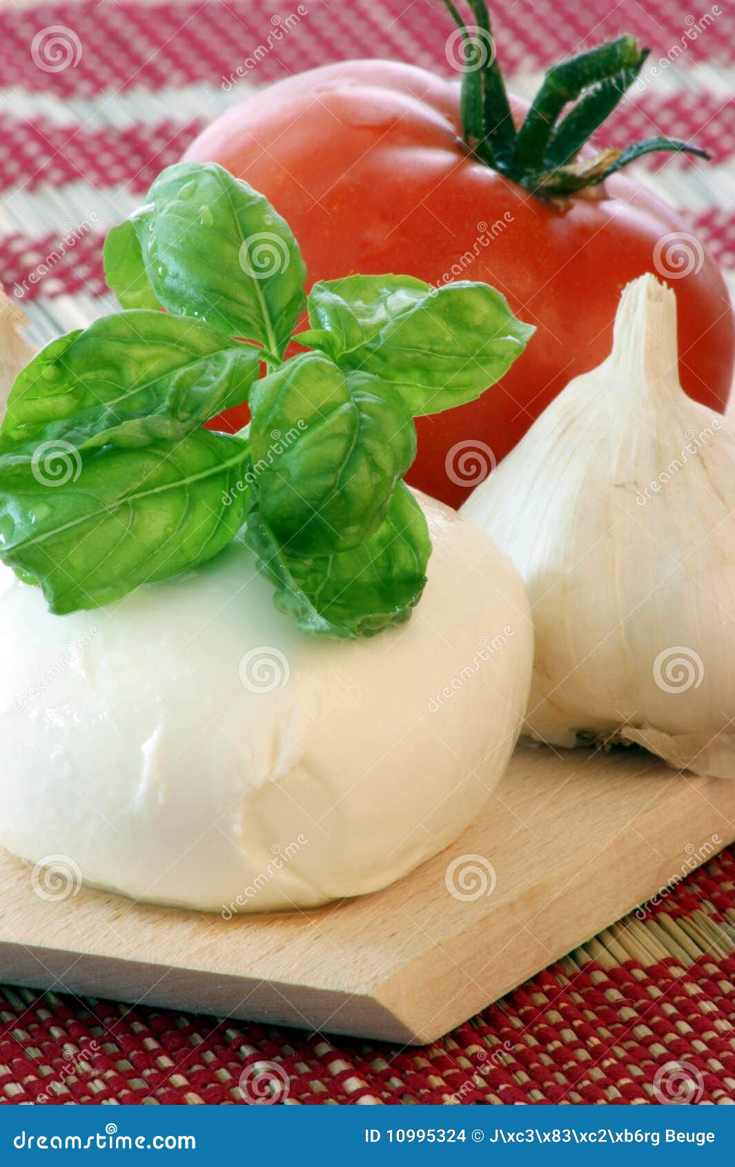 Mozzarella with Fresh Organic Basil Leaf Stock Photo - Image of organic ...