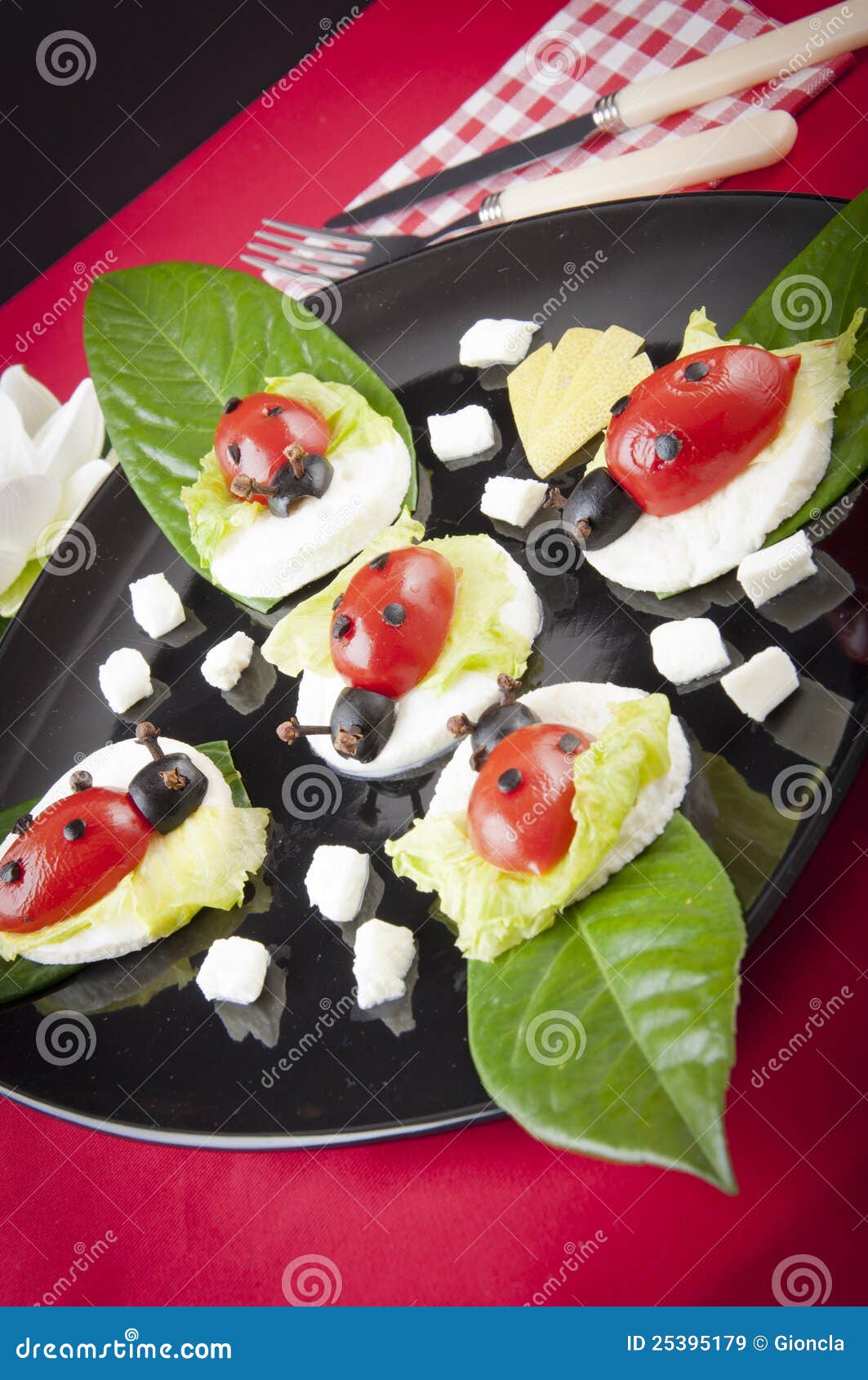 Mozzarella ladybug stock image. Image of buffalo, kitchen - 25395179