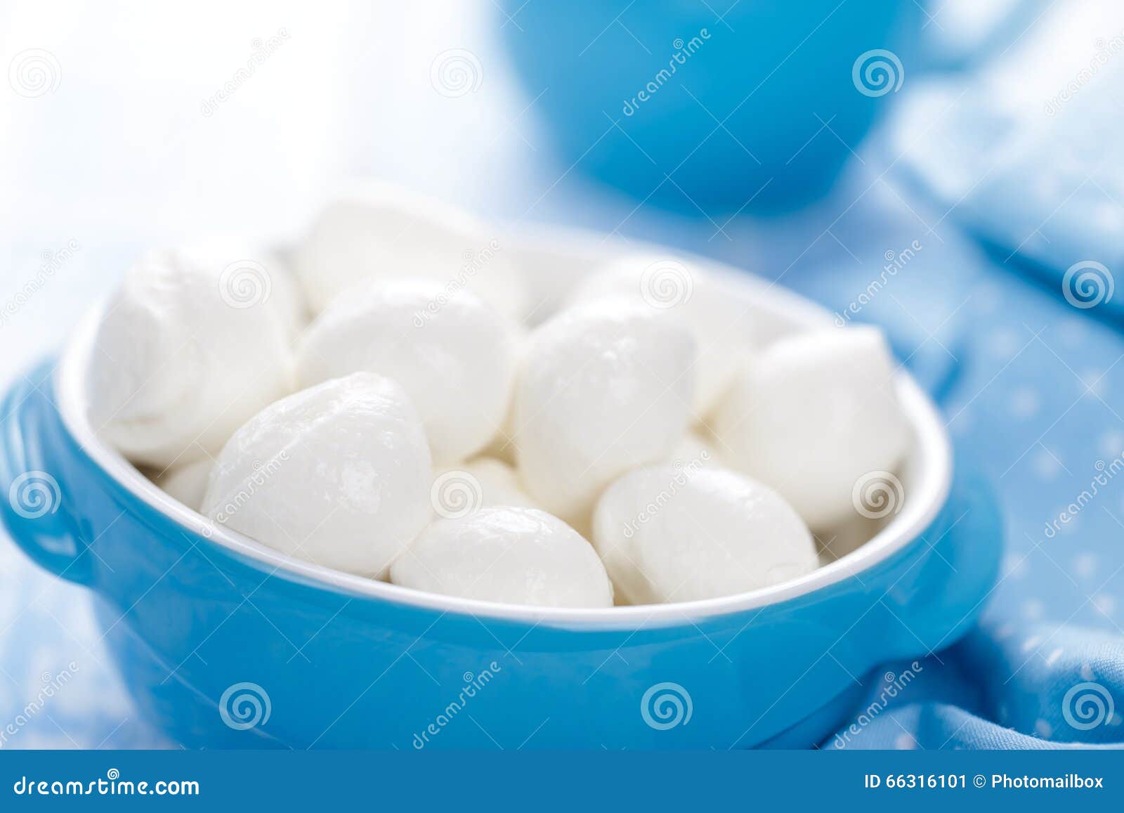 Mozzarella mini stock image. Image of fresh, mini, closeup - 66316101