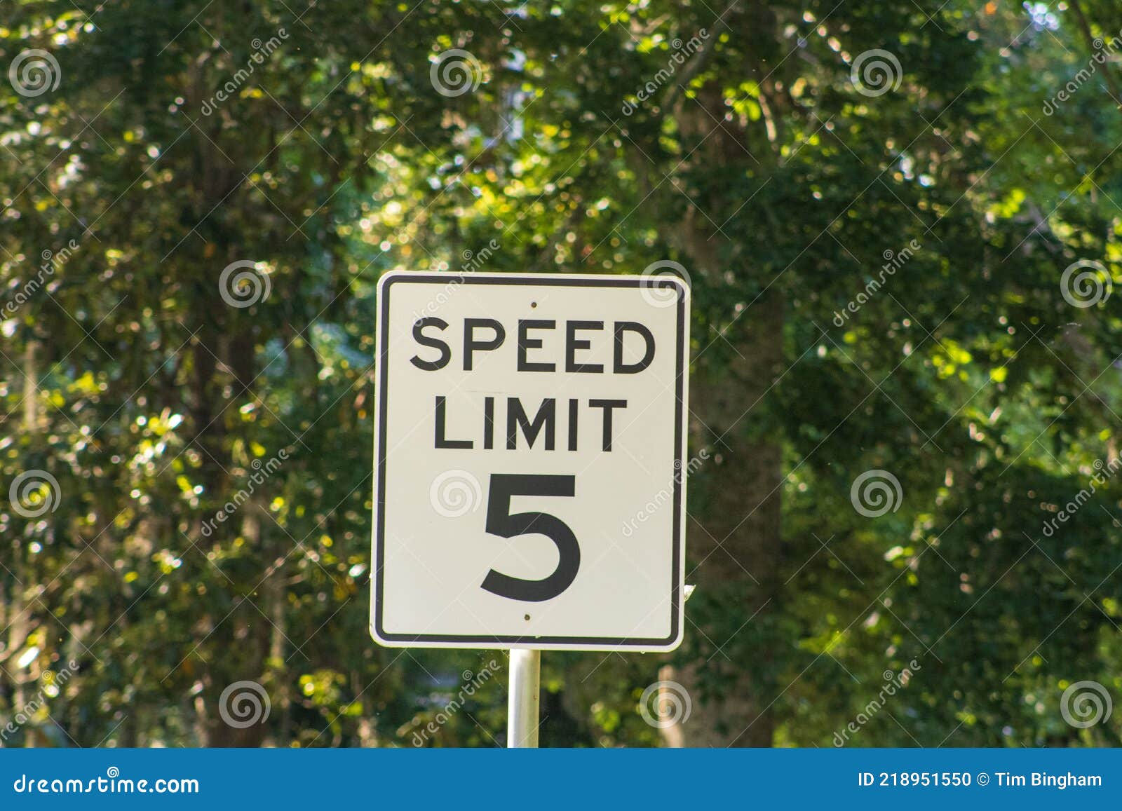 5 mph speed limit sign stock photo. Image of background - 218951550