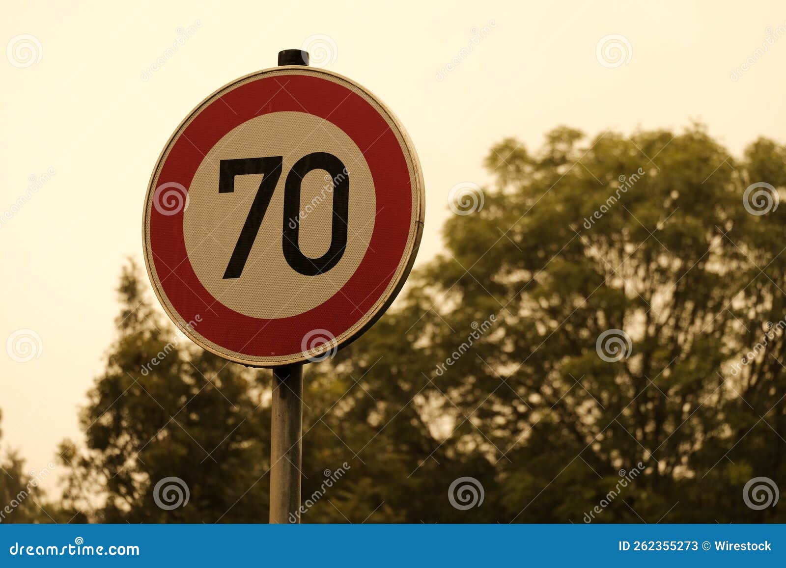 70 Mph Traffic Sign with Trees in the Background Stock Image - Image of ...