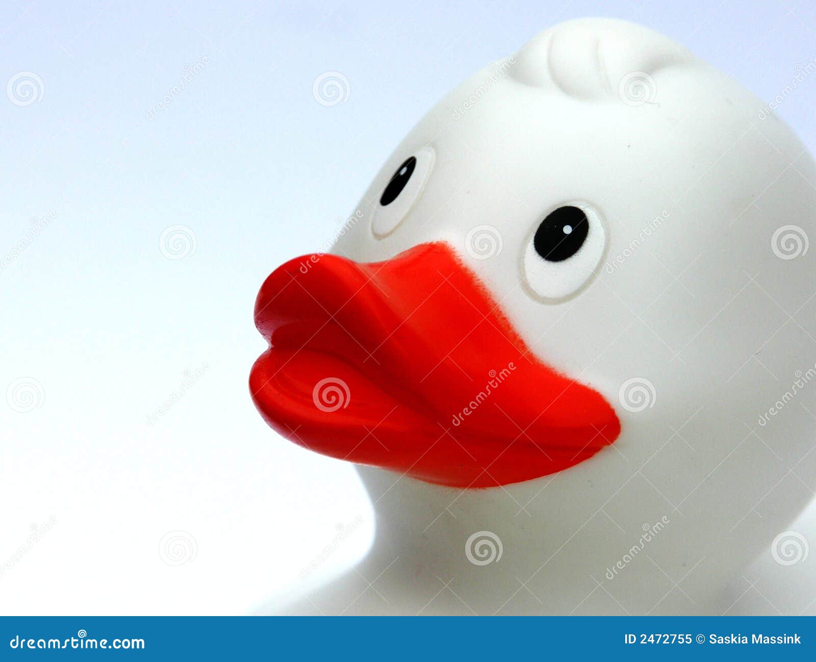 Mr. Duck... stock image. Image of friend, pecker, bath - 2472755