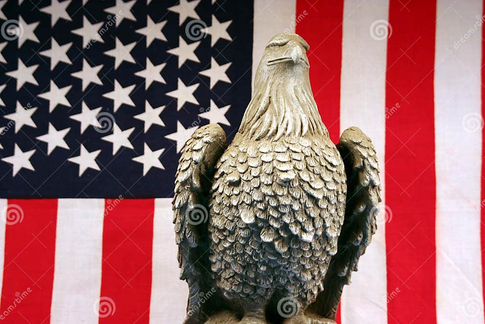 Mr. Eagle stock image. Image of white, blue, home, patriotic - 787331