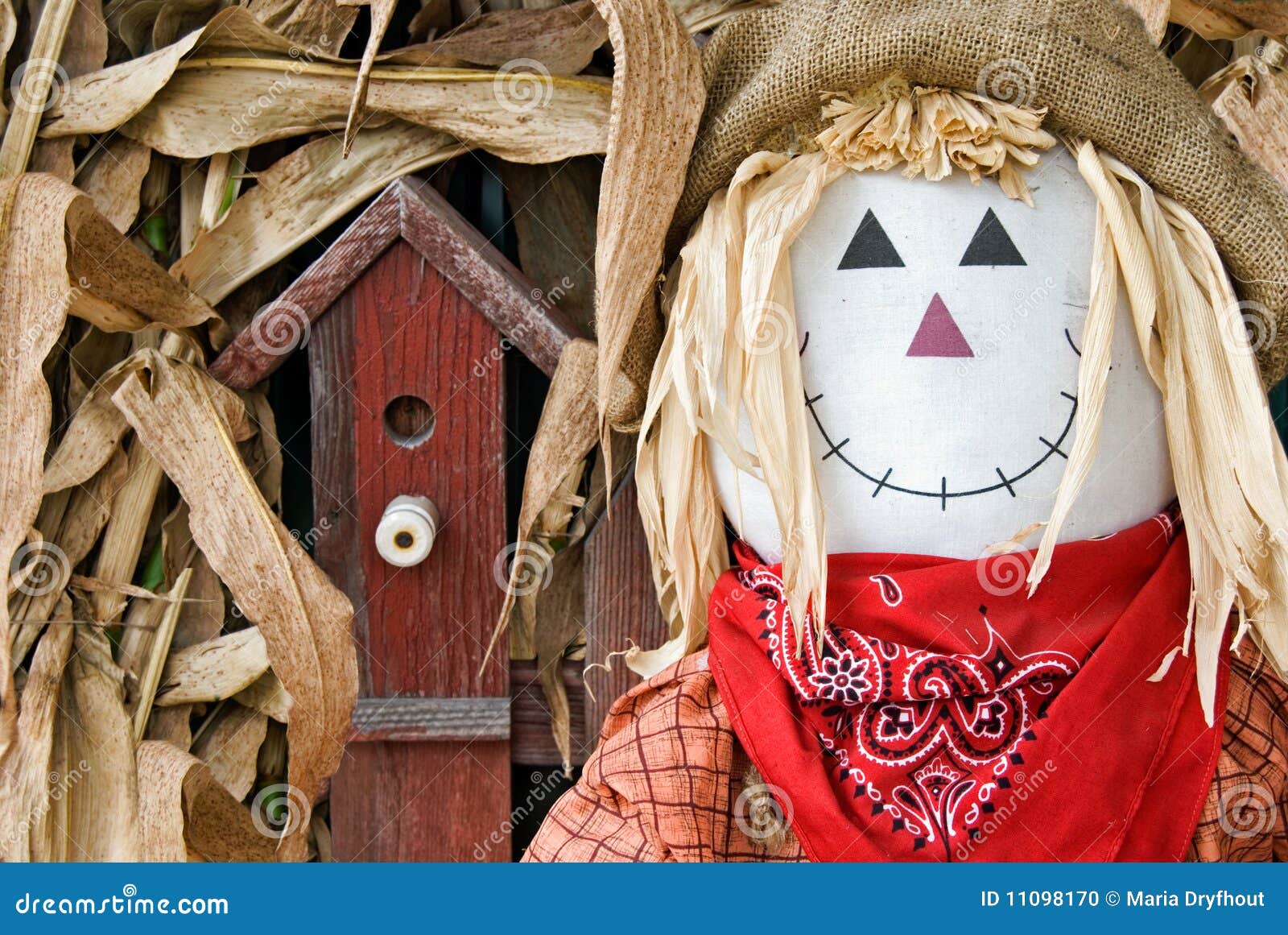 Mr. Scarecrow stock photo. Image of country, scarecrow - 11098170