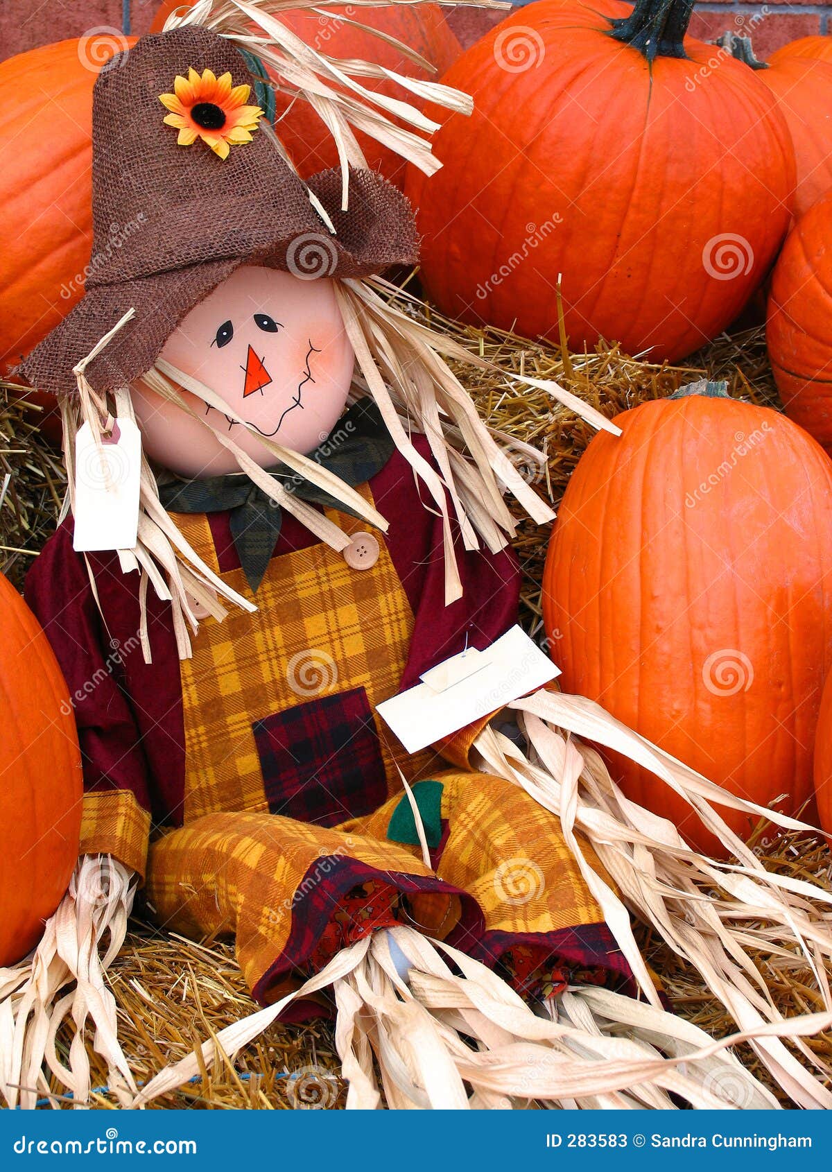 Mr. Scarecrow Royalty-Free Stock Photography | CartoonDealer.com #283583