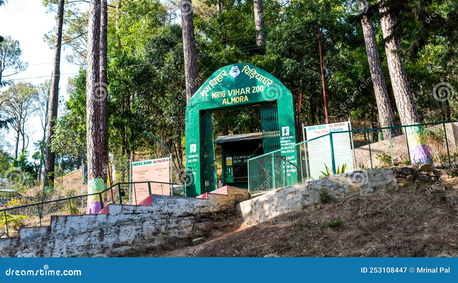 Mrig Vihar Zoo Deer Park Almora Fotografía editorial - Imagen de verde ...
