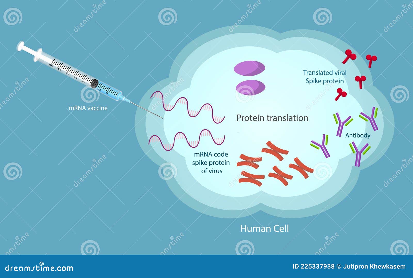 MRNA Vaccine SARS-Cov-2 Vector Texture Stock Vector - Illustration of ...