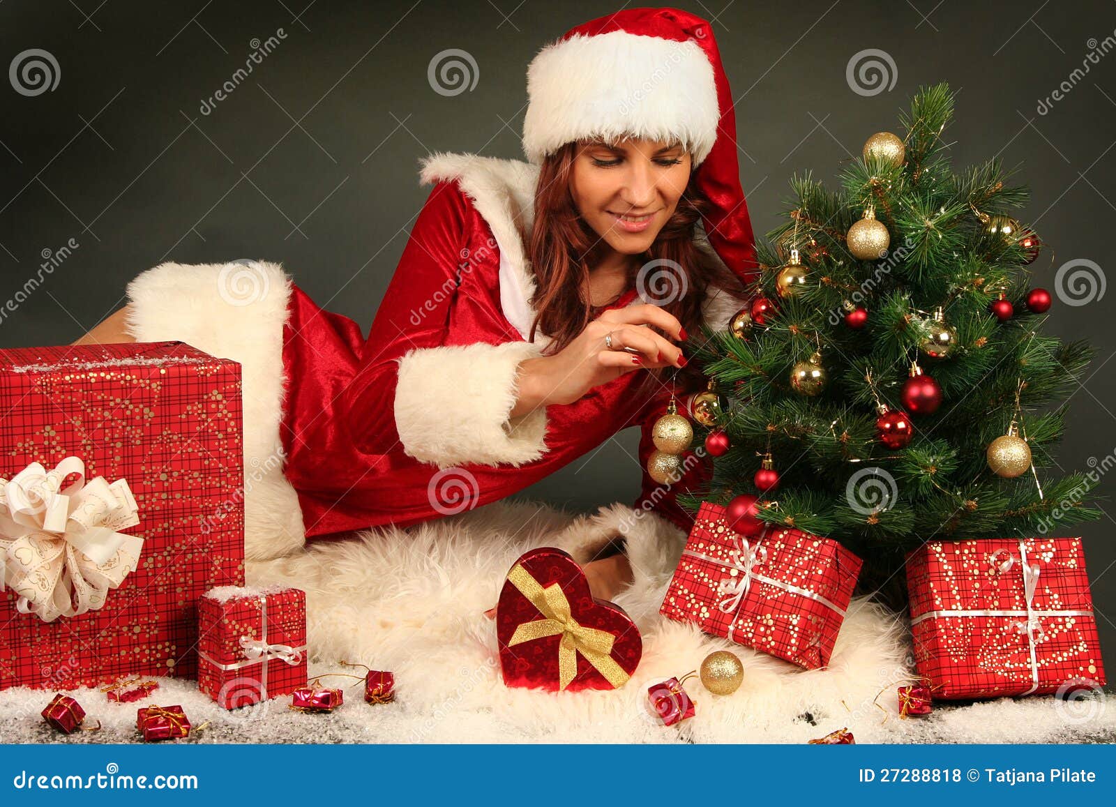 Mrs. Santa stock photo. Image of beauty, santa, smile - 27288818