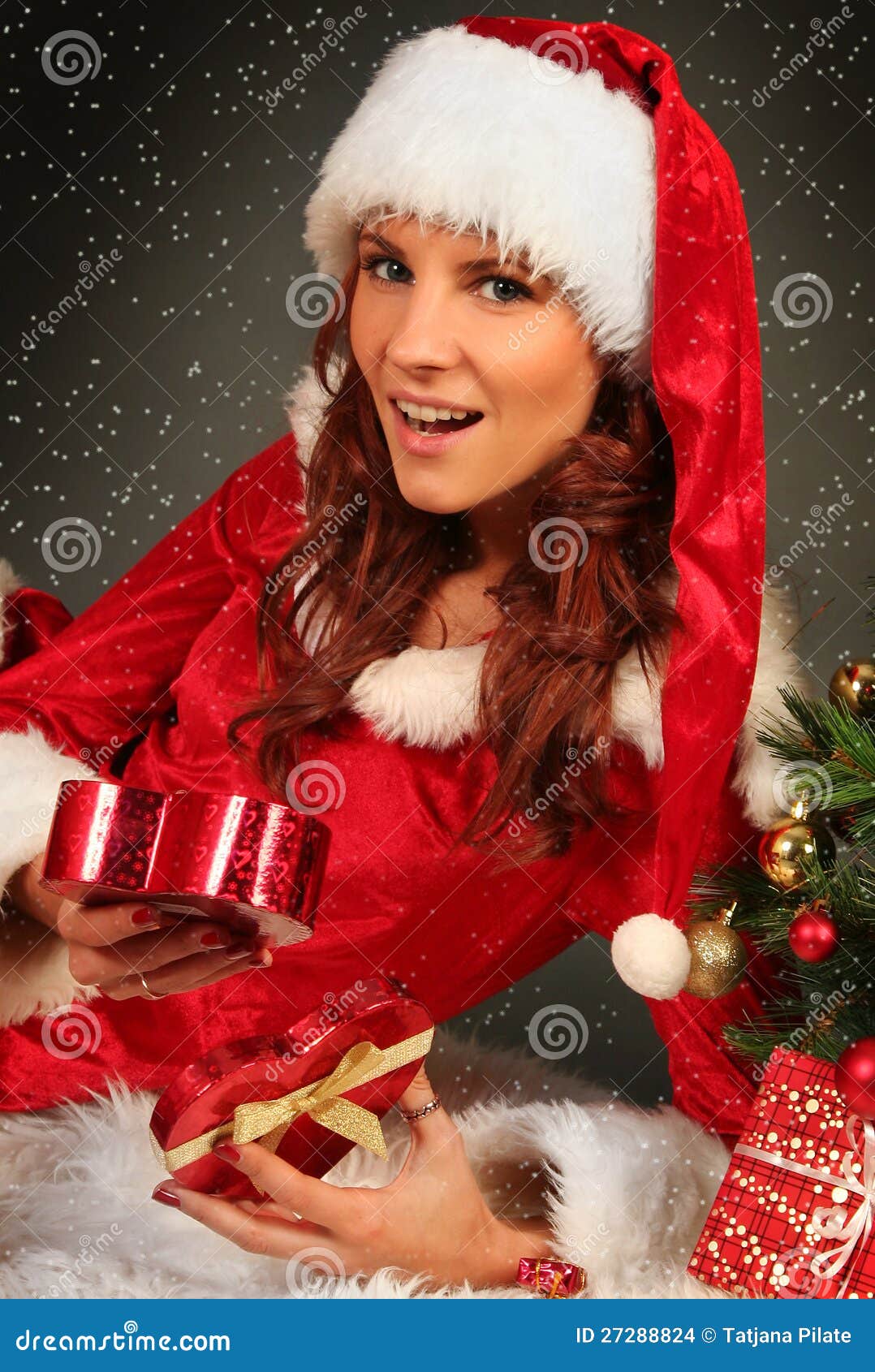 Mrs. Santa stock photo. Image of santa, female, claus - 27288824