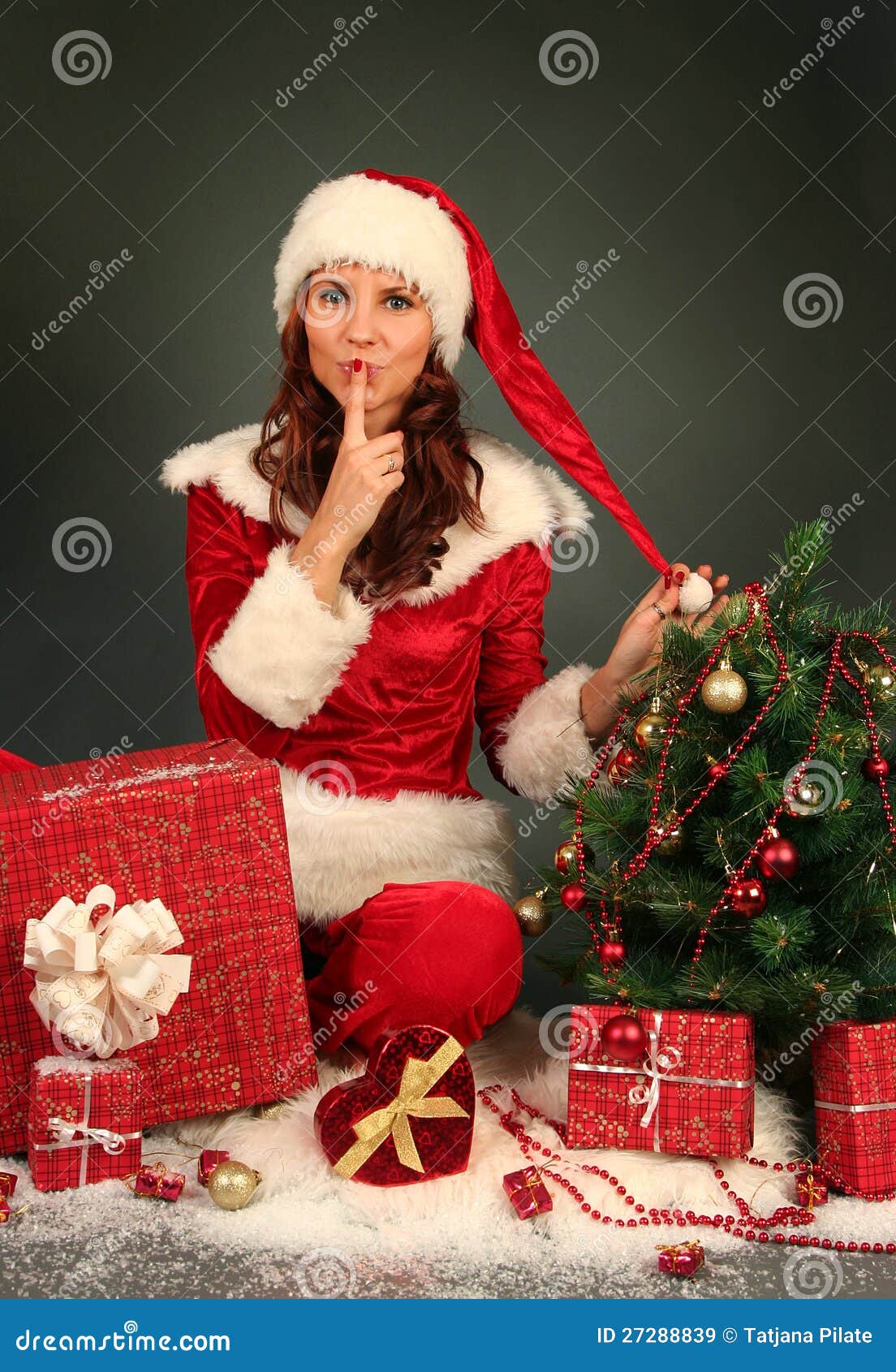 Mrs. Santa stock image. Image of christmas, cute, claus - 27288839