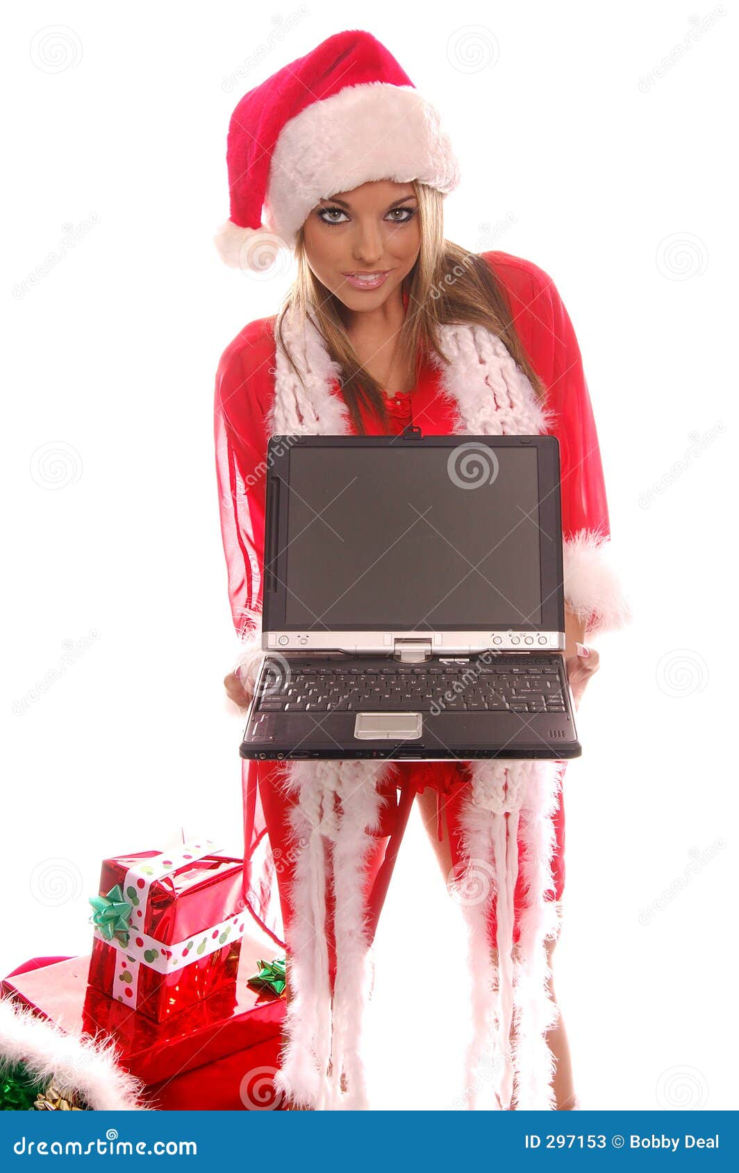 Mrs Santa Laptop stock image. Image of blank, jolly, beautiful - 297153