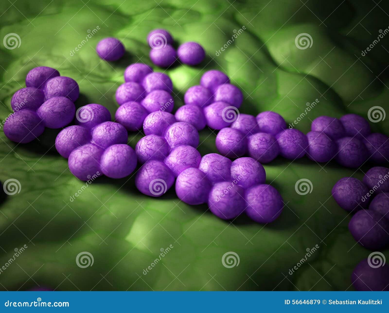 Mrsa Stock Illustrations – 368 Mrsa Stock Illustrations, Vectors ...