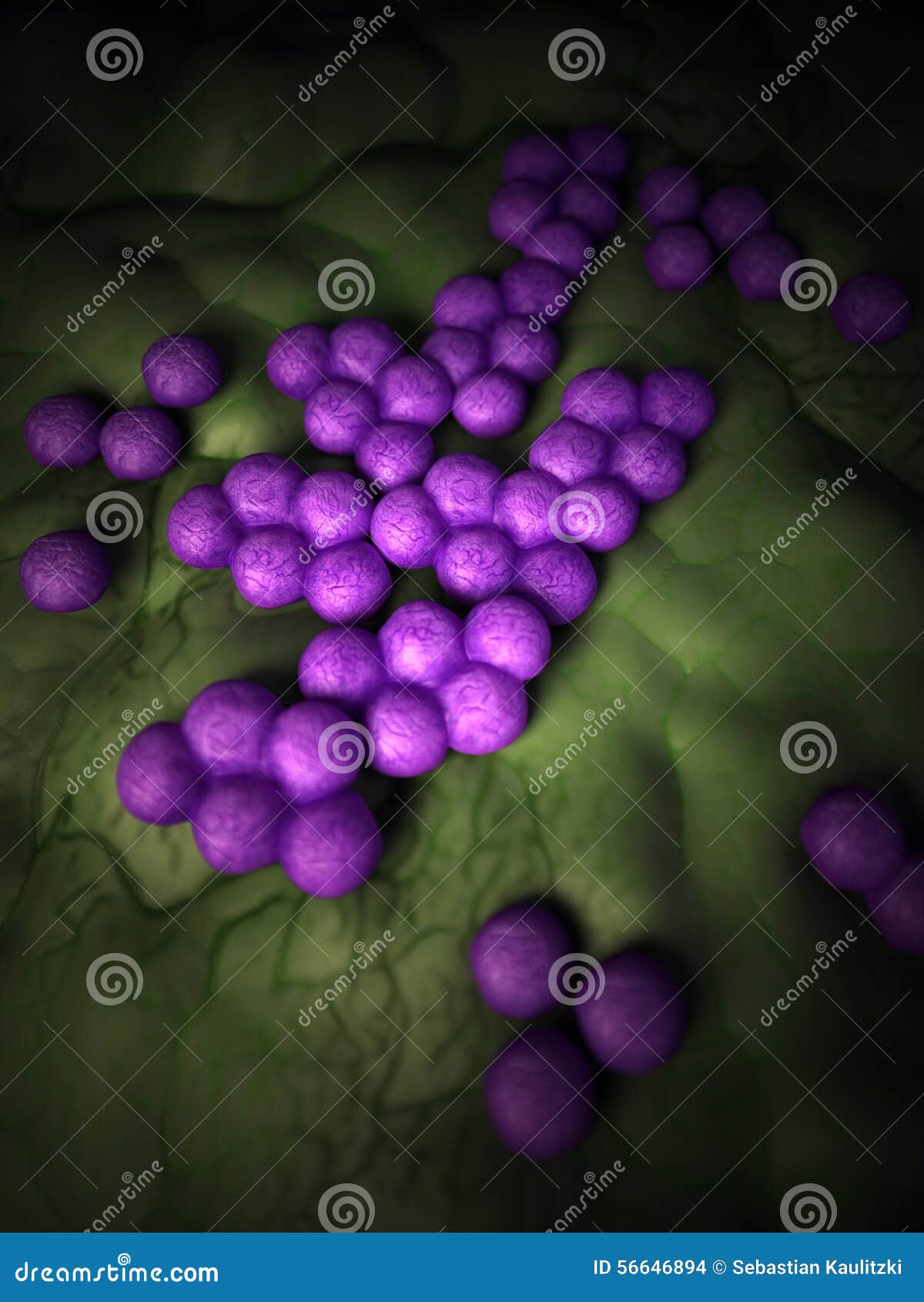 The mrsa - close up stock illustration. Illustration of medicine - 56646894